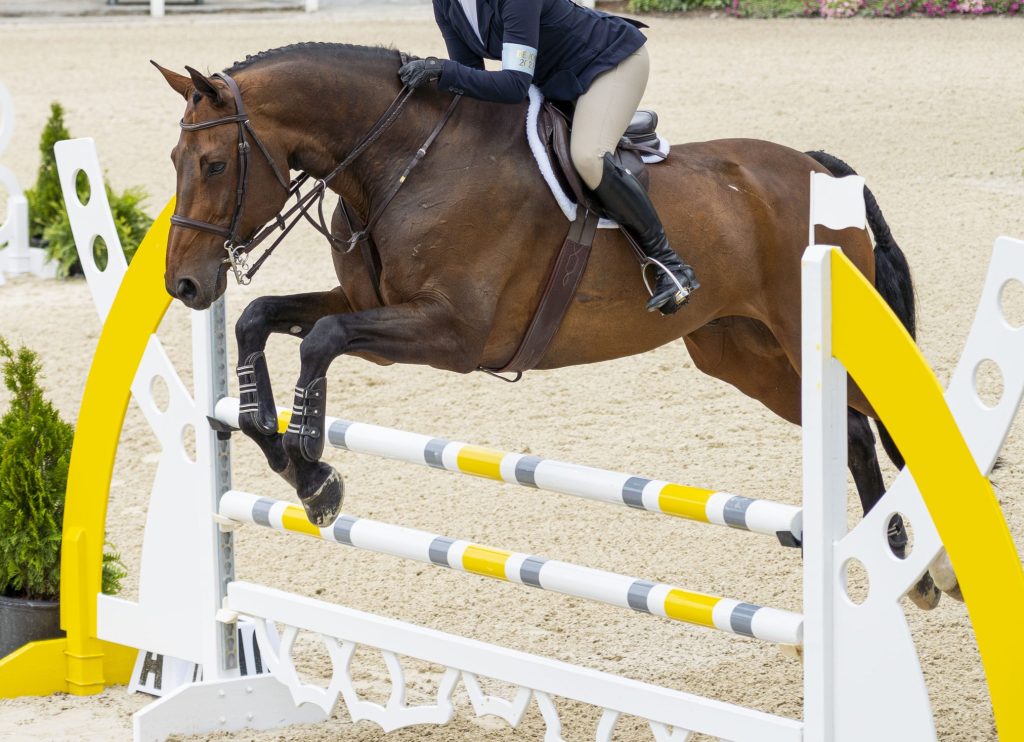 Trainer Tuesday: What are the three most important characteristics of a ...