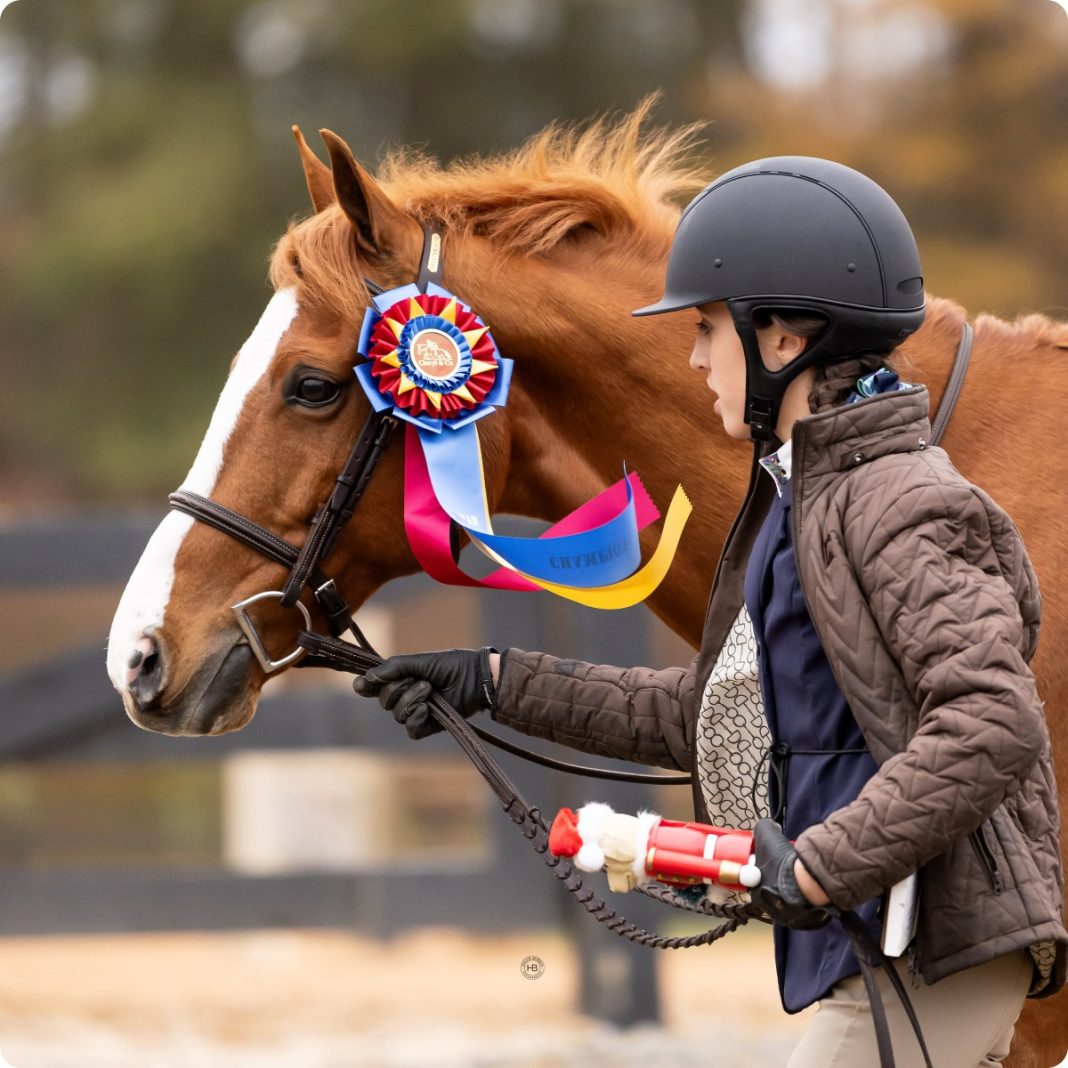 Horse Spot Software Welcomes New Shows Across Half the Country - The Plaid Horse Magazine