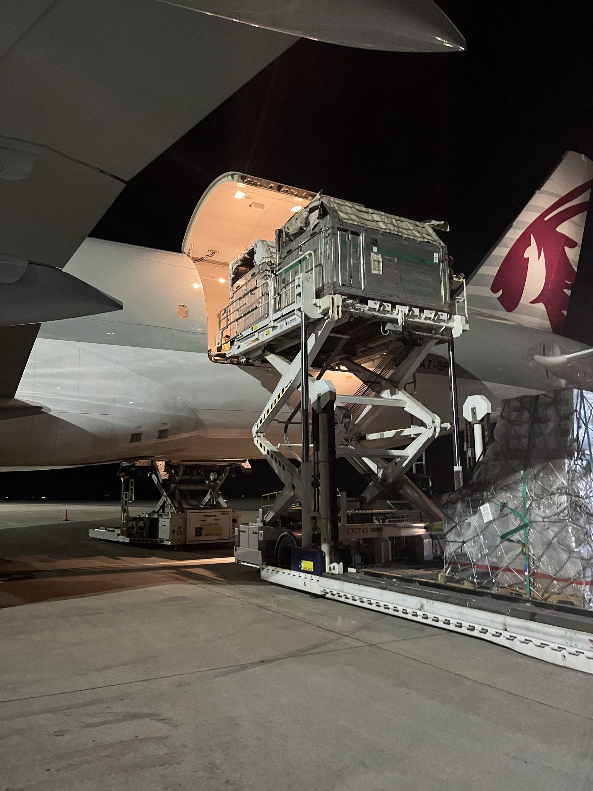 Horseflight: 8 Things You Need to Know About Flying Your Horse - The ...