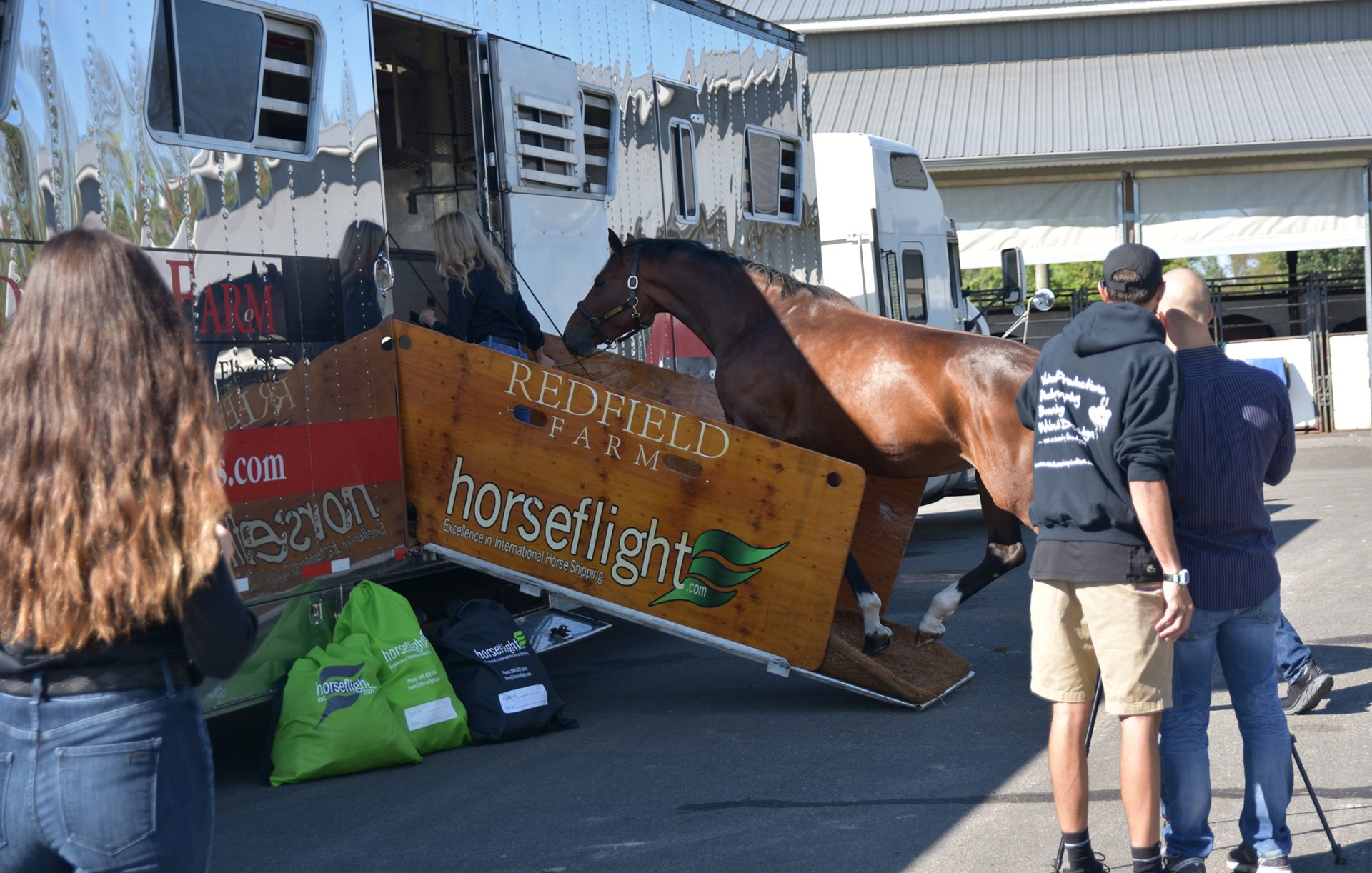 Horseflight: 8 Things You Need to Know About Flying Your Horse - The ...