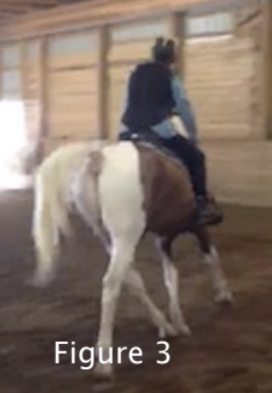 Research Says: Your Visual Pathways Could be Affecting Your Posture ...