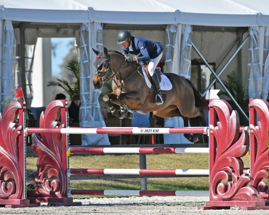 Mick Jagger and Sharn Wordley Rock the $80,000 FarmVet Grand Prix ...