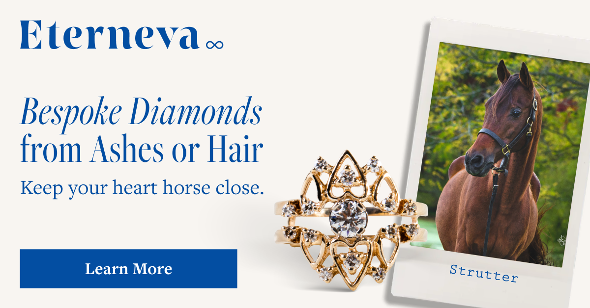 Newly Renovated Lake Placid Horse Show Announces It Will Host Two FEI ...