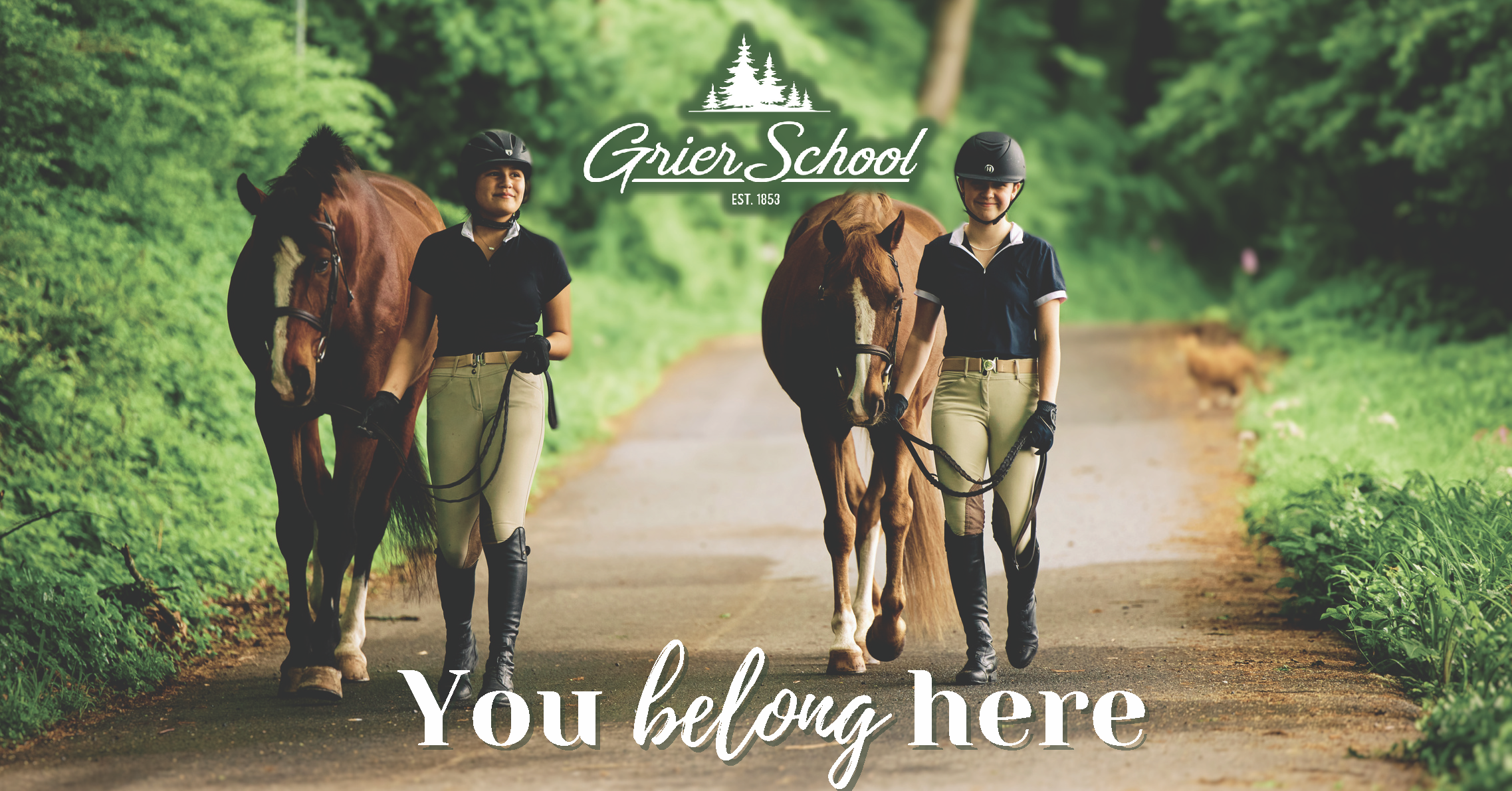 The Economics of Horse Racing - The Plaid Horse Magazine