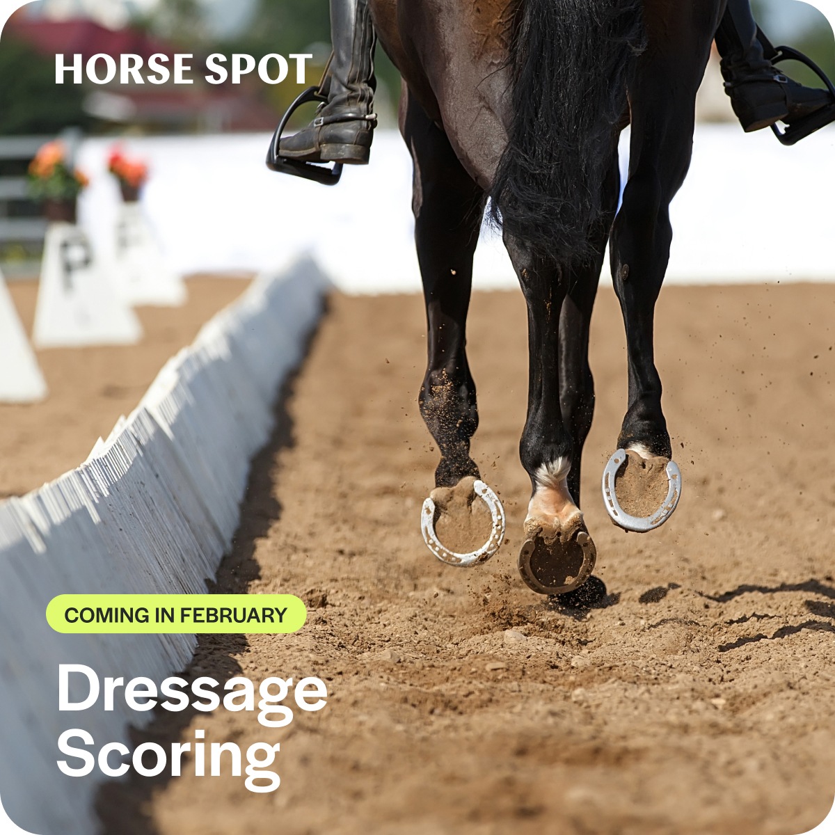 Horse Spot is Helping Horse Show Managers Clear Their Own Fences - The Plaid Horse Magazine