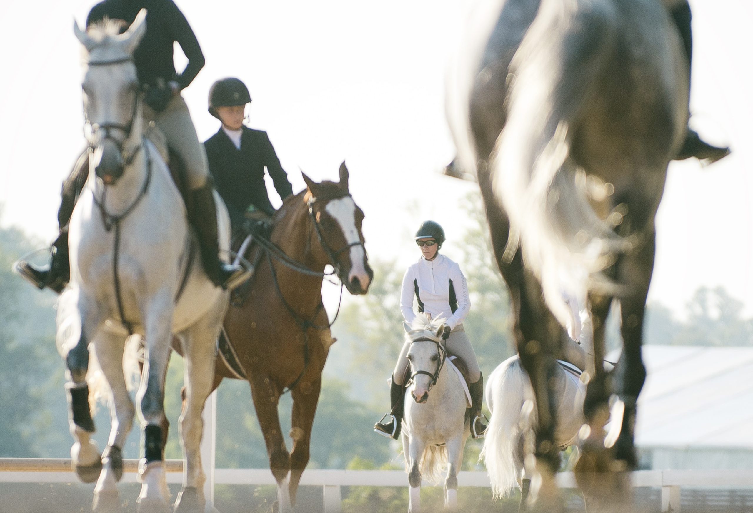 Trainer Tuesday: How can you best manage a horse that is sensitive to ...