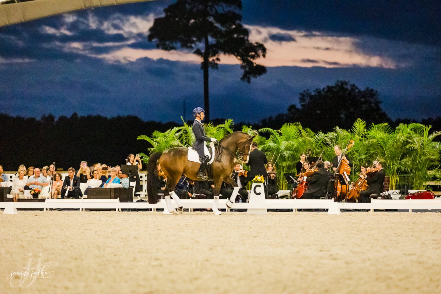 Divertimentos & Dressage Returns to Wellington in February 2025 - The Plaid Horse Magazine
