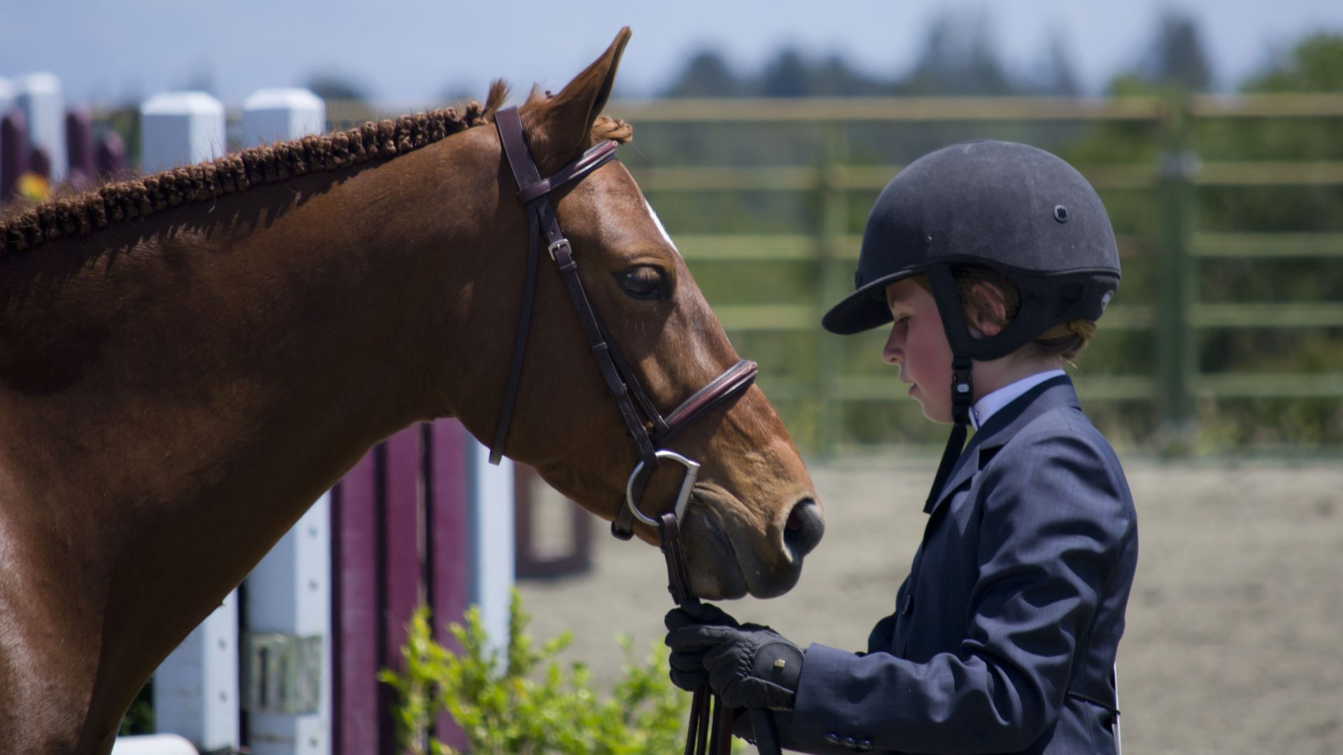 Tenacity Over Talent - The Plaid Horse Magazine