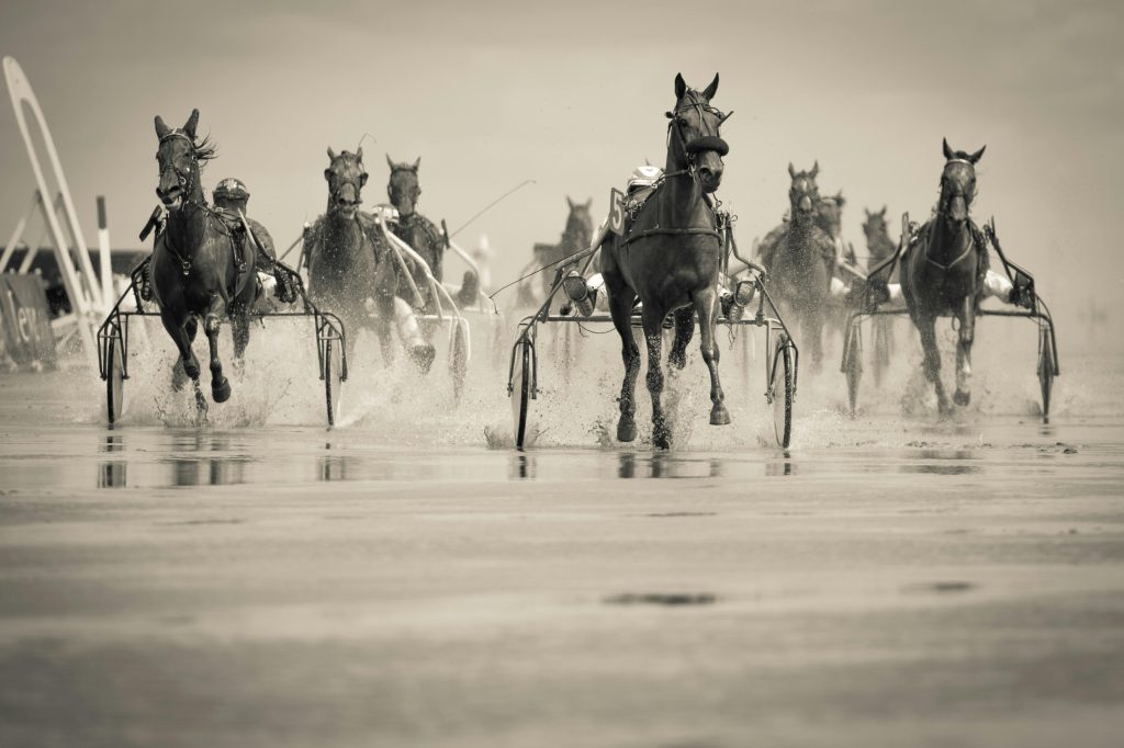 Harness Racing - How it Started & Where Is It Now? - The Plaid Horse ...