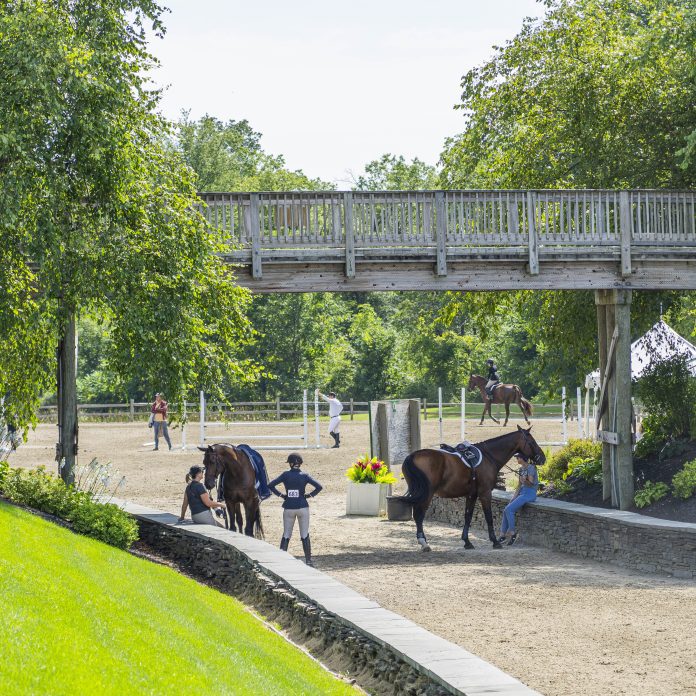 Plaidcast 418: Tom O'Mara & Britt McCormick by Taylor, Harris Insurance ...