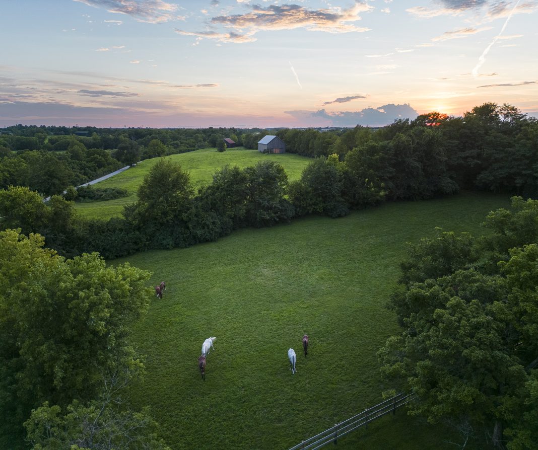 Plaidcast 416: Dr. Pouya Dini, Dr. Anna Dunaway & Dr. Gus Cothran by ...