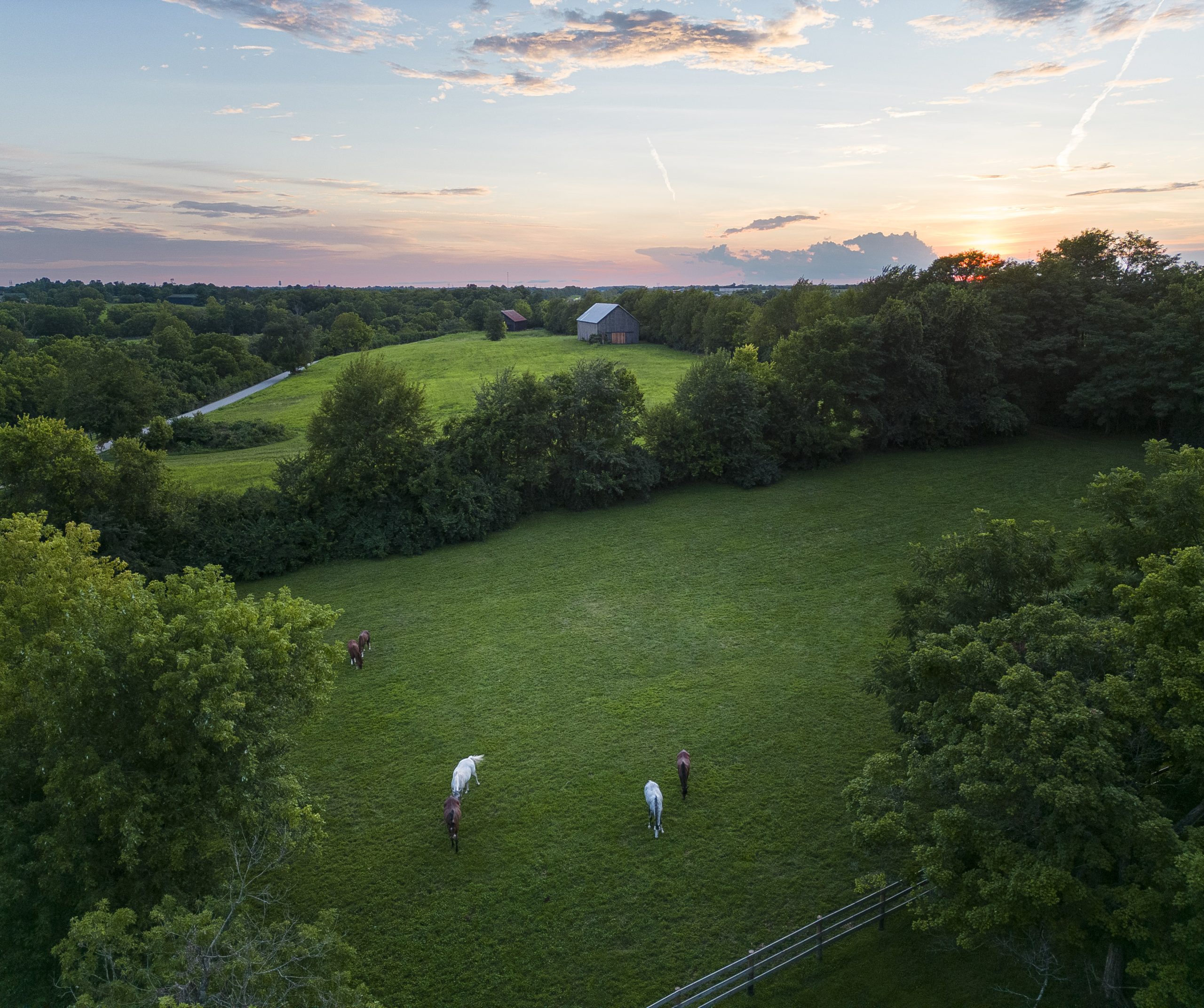 Plaidcast 416: Dr. Pouya Dini, Dr. Anna Dunaway & Dr. Gus Cothran by ...