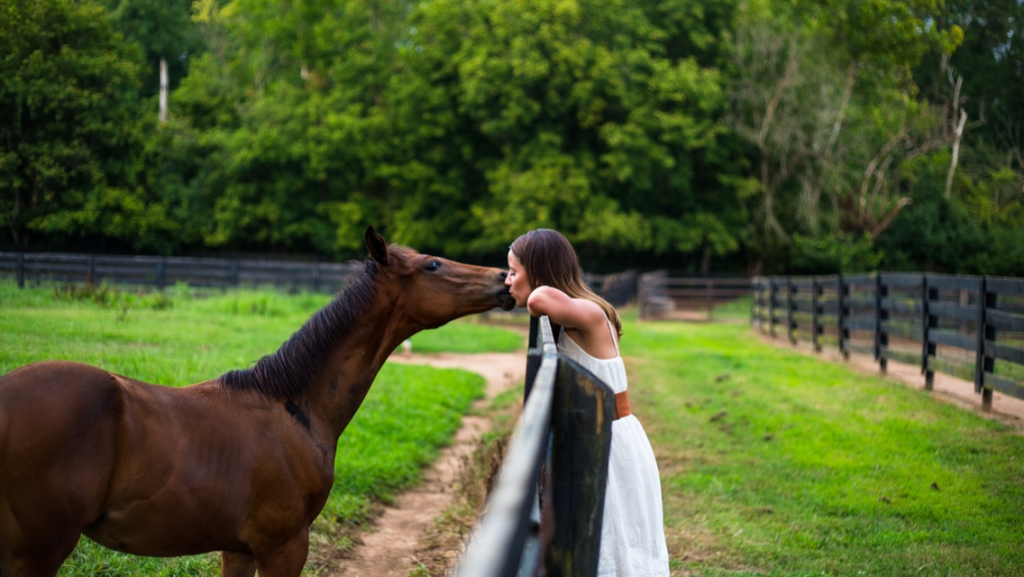 Oasis Sport Horses: Ashley Adler Shares Her Foal-Raising Philosophy—And ...