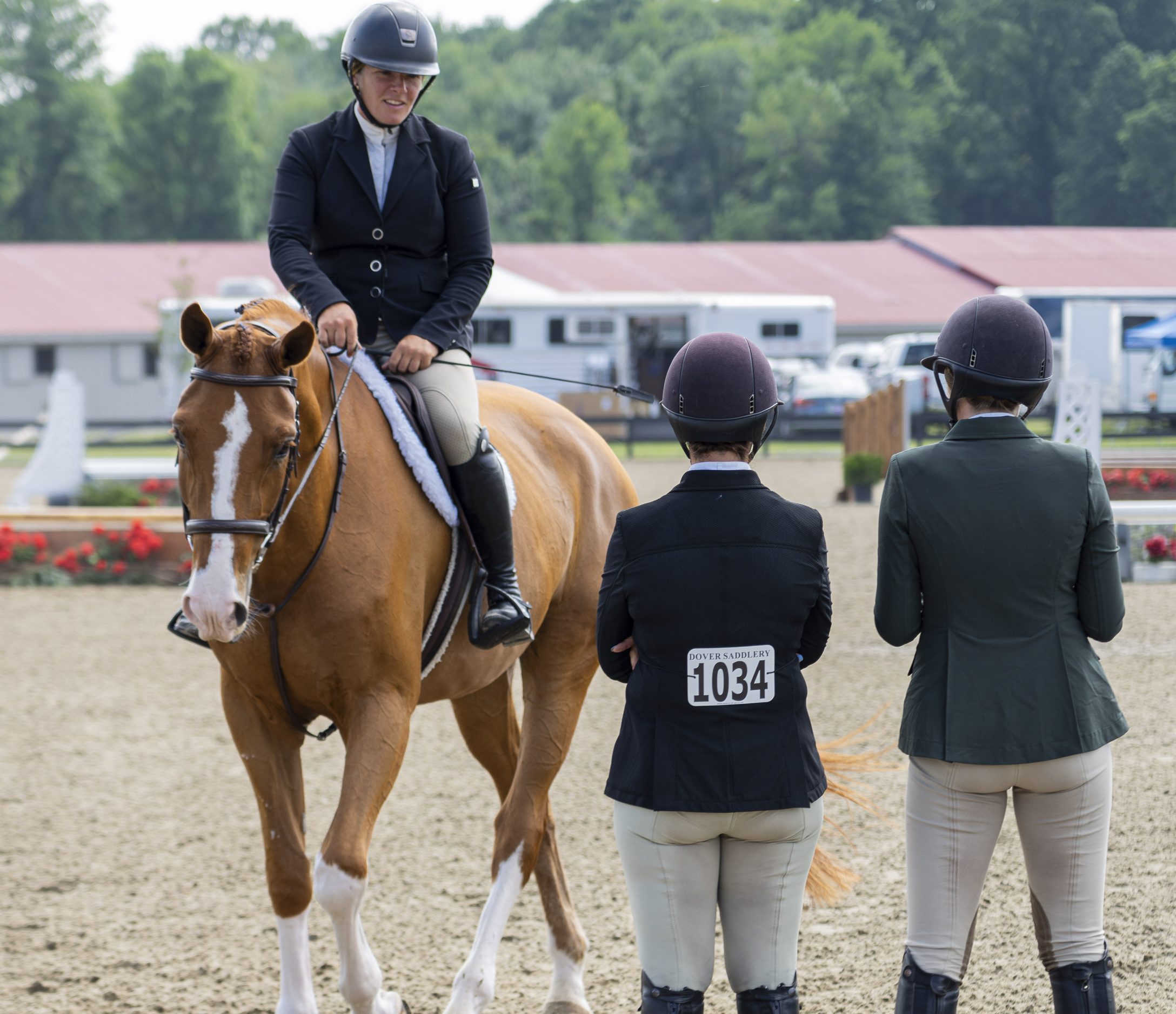 Breaking the Cycle of Isolation in Equestrian Sport - The Plaid Horse ...