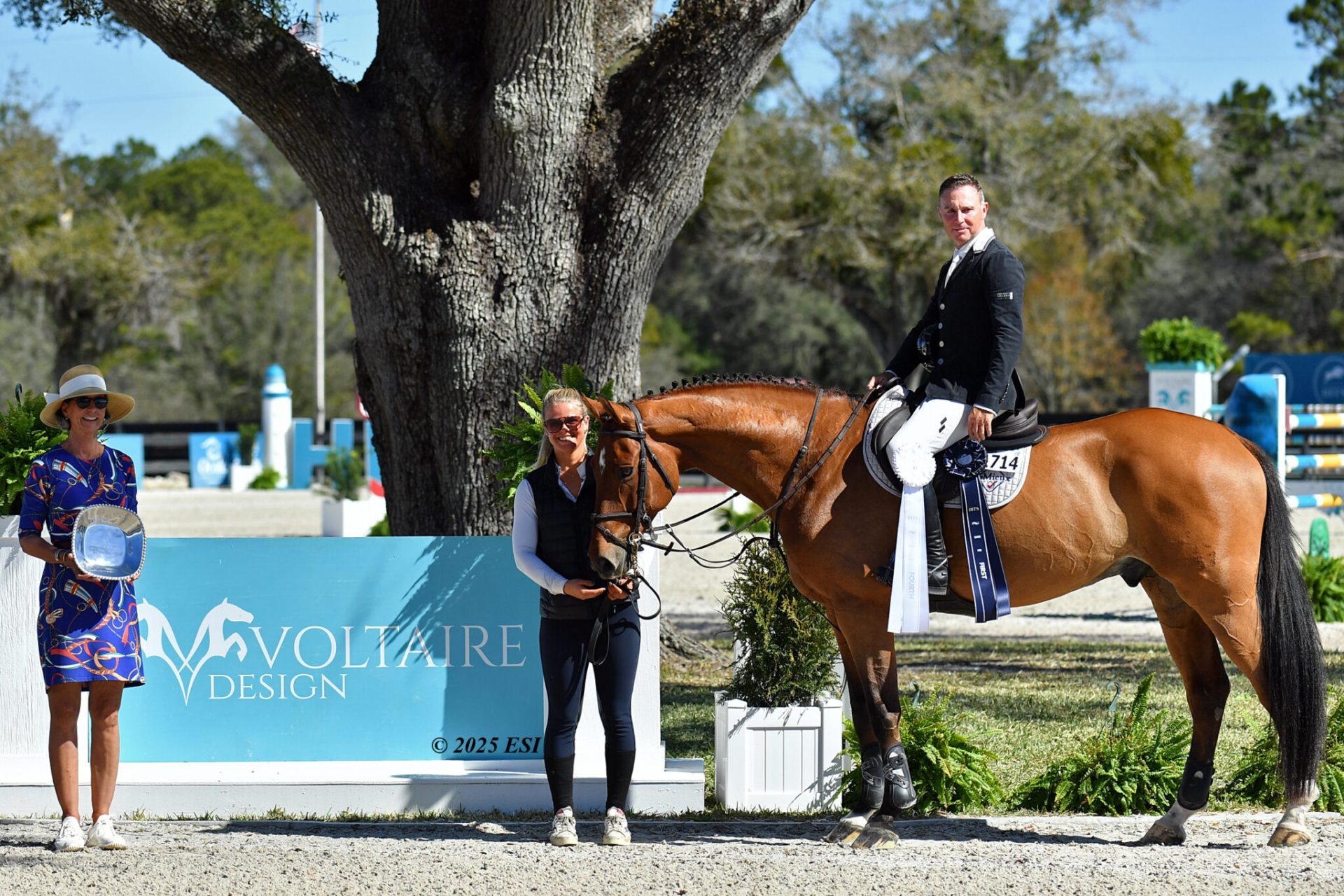 Sharn Wordley and Hagelin Steal the Show in the $80,000 Voltaire Grand ...