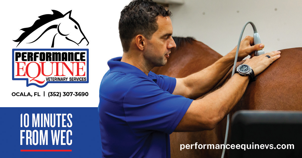 Exercises to Build Your Horse’s Topline - The Plaid Horse Magazine