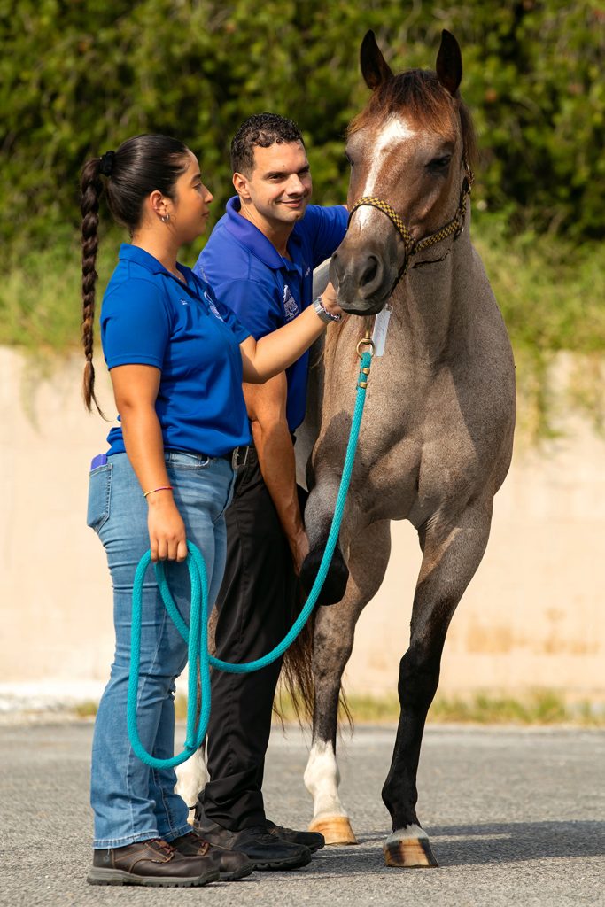 Dr. Alberto Rullan, VMD: Bringing a Lifetime of Education to Ocala’s ...