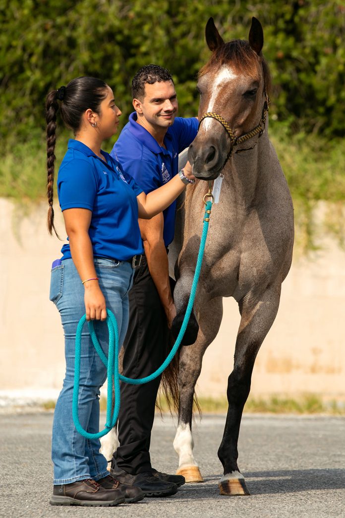 Dr. Alberto Rullan, VMD: Bringing a Lifetime of Education to Ocala’s ...