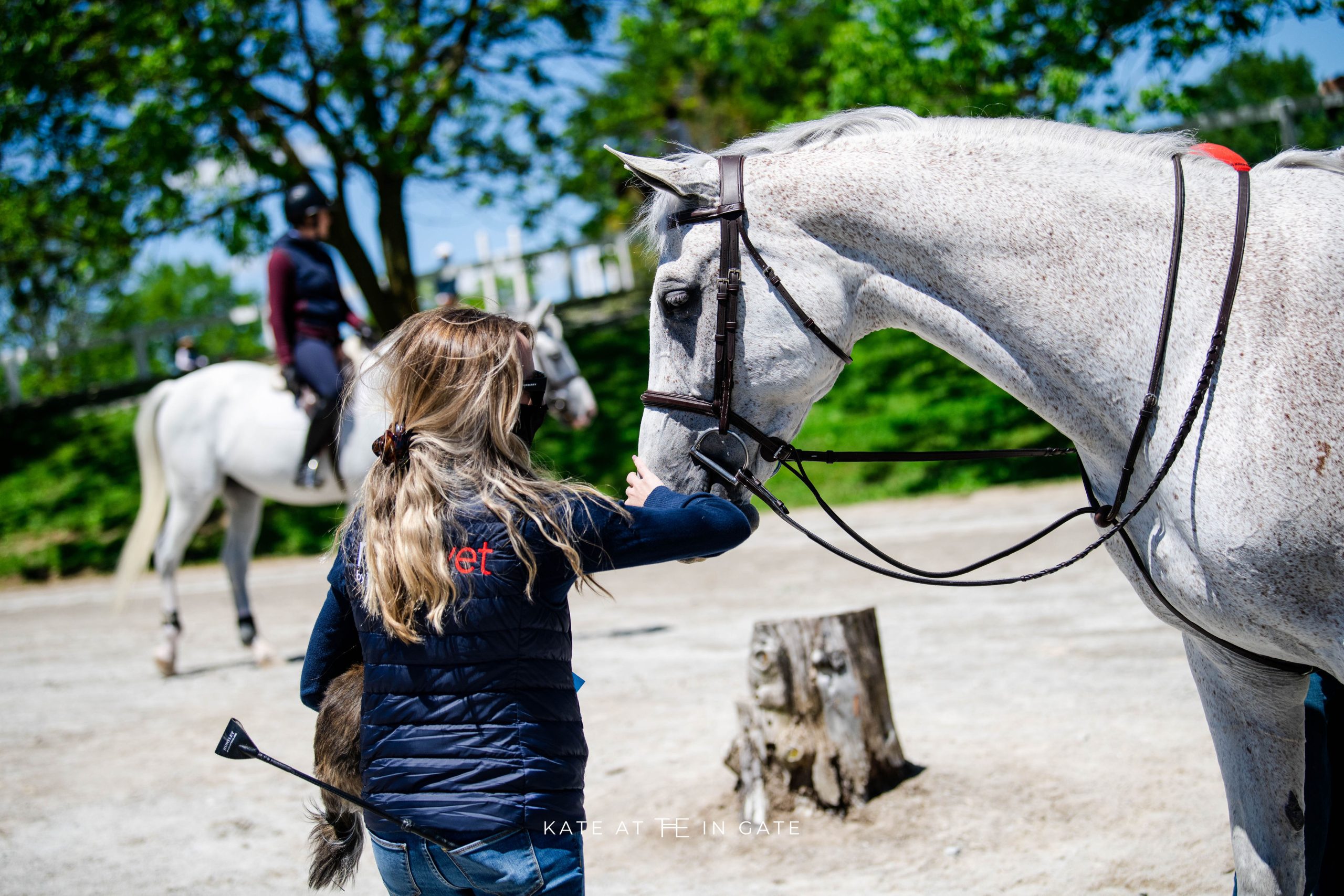 The Mare and the Mirror: A Horse Girl’s Journey with Anxiety ...