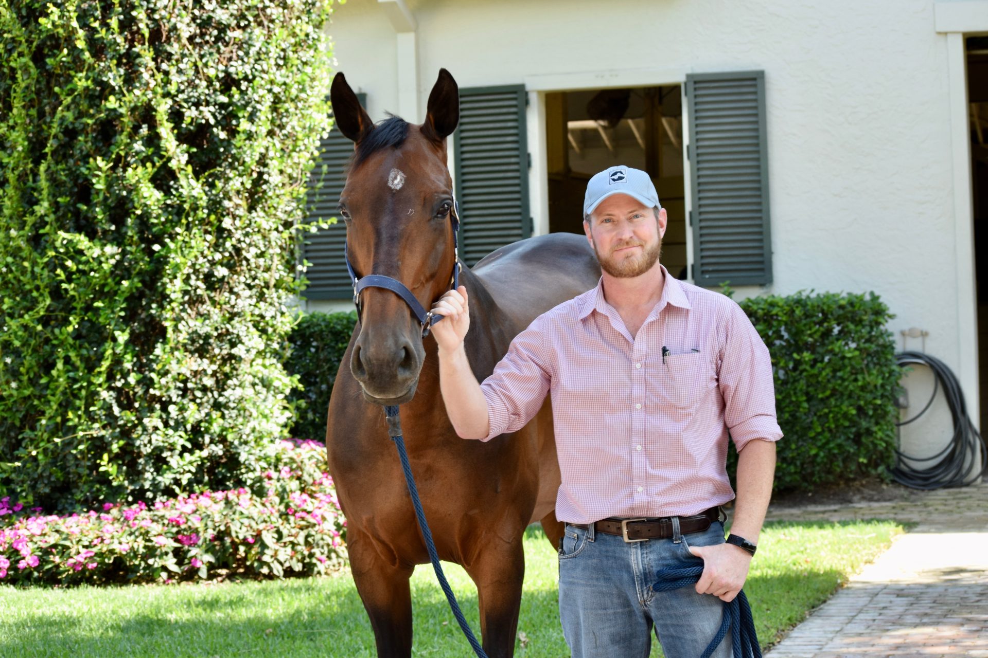 Advancing Equine Reproduction: How ICSI Is Transforming Sport Horse ...