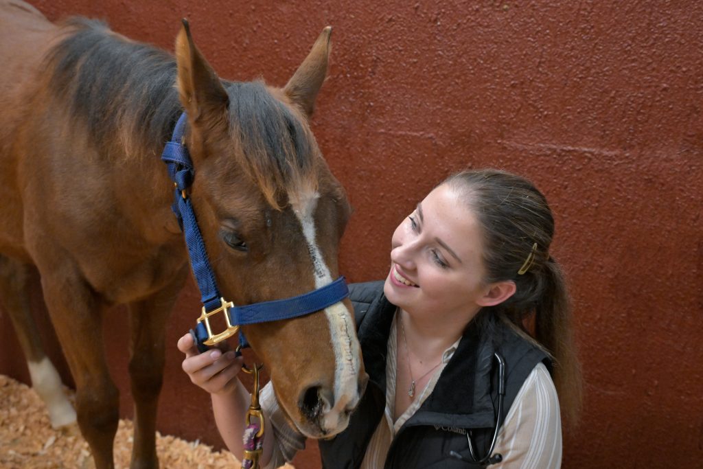 Specialty Surgery Gives Wry Nose Foal a Chance at a Full Life - The ...