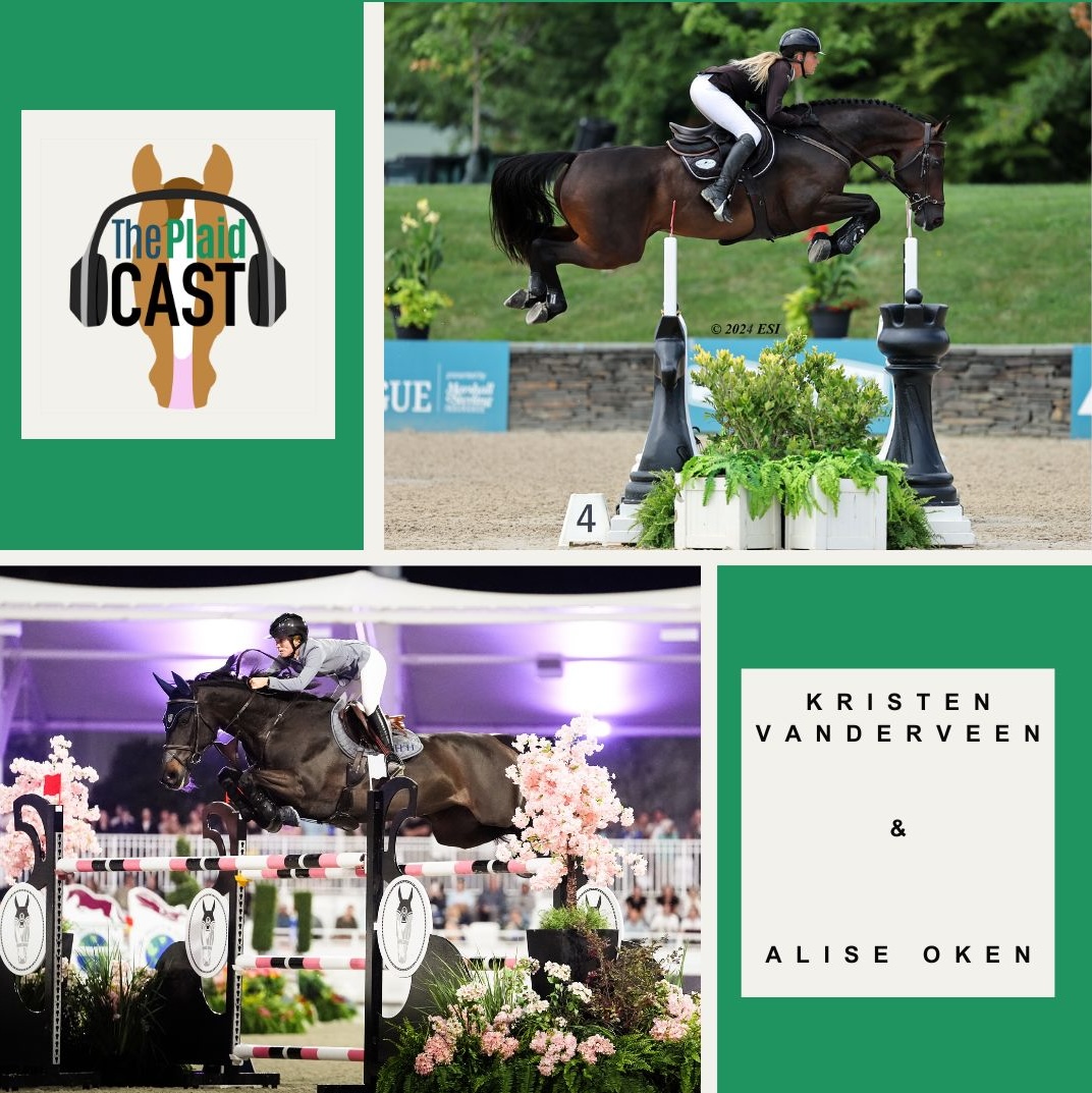 Plaidcast 426: Kristen VanderVeen & Alise Oken by Taylor, Harris ...