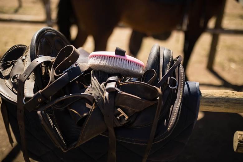 Top 8 Essential Accessories for Competitive Equestrians - The Plaid ...