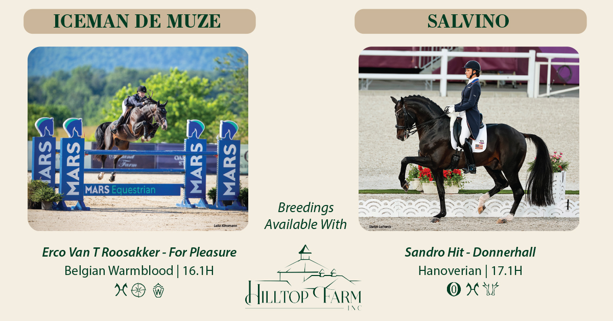 The Economics of Horse Racing - The Plaid Horse Magazine