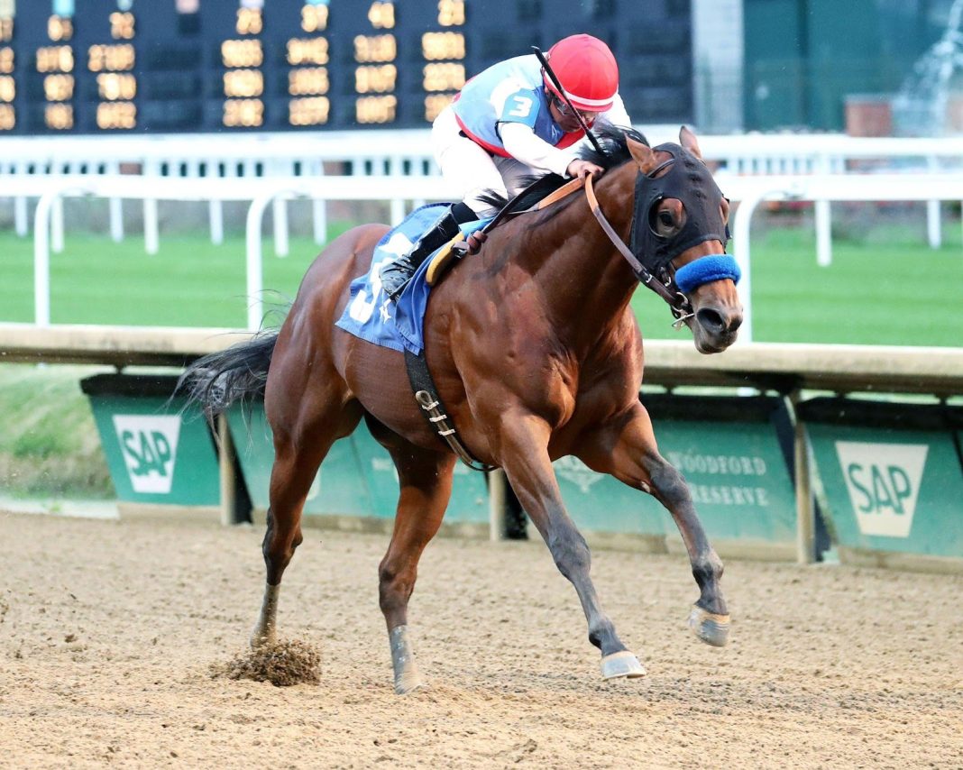 The 3 biggest horse races in the world - The Plaid Horse Magazine