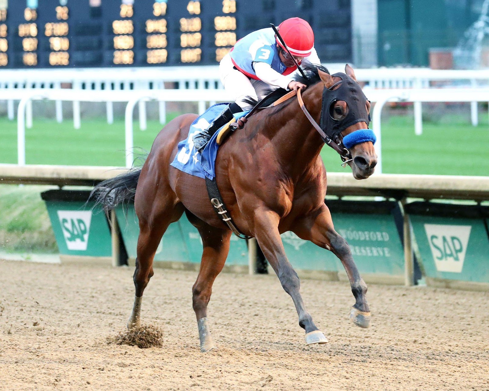 America's Must-Attend Horse Racing Events: A Guide for Equestrians ...
