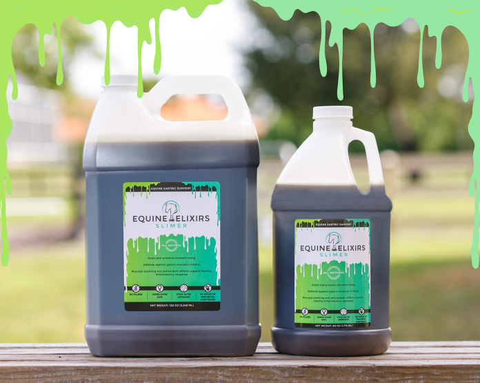 It's Slime Time - The Plaid Horse Magazine