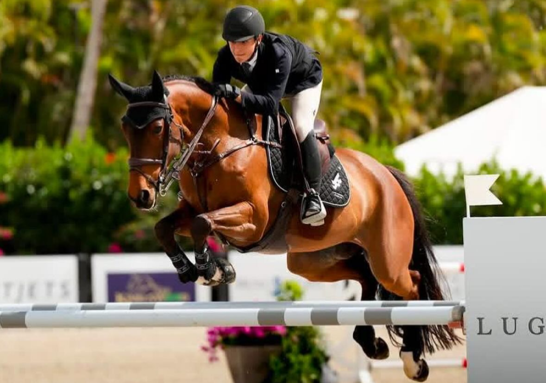 JJ Torano Wins February’s Show Jumping Hall of Fame Rider of the Month ...