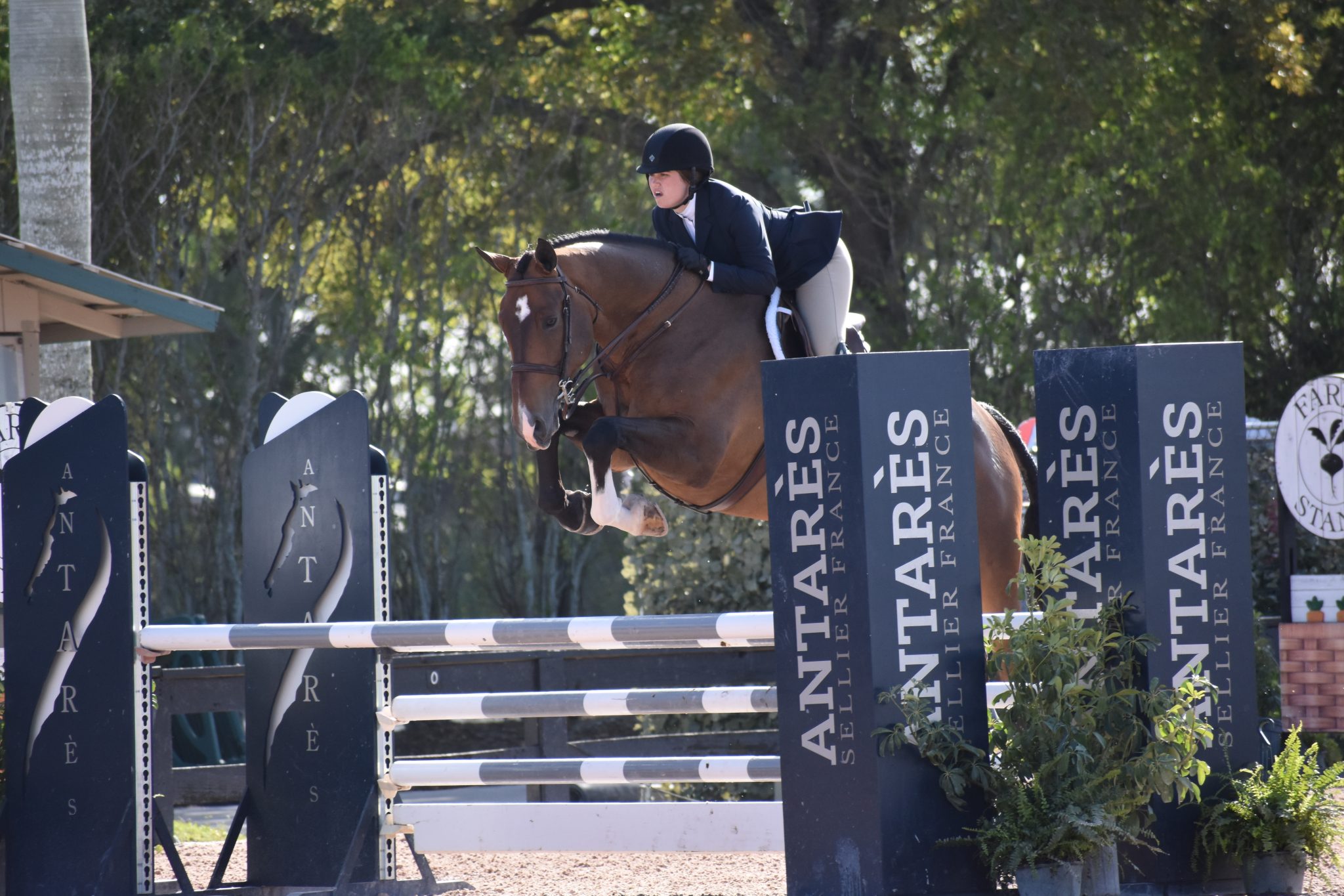 Brooke Brombach: The Legacy Rider on Turning Pro—And What Pin Oak ...