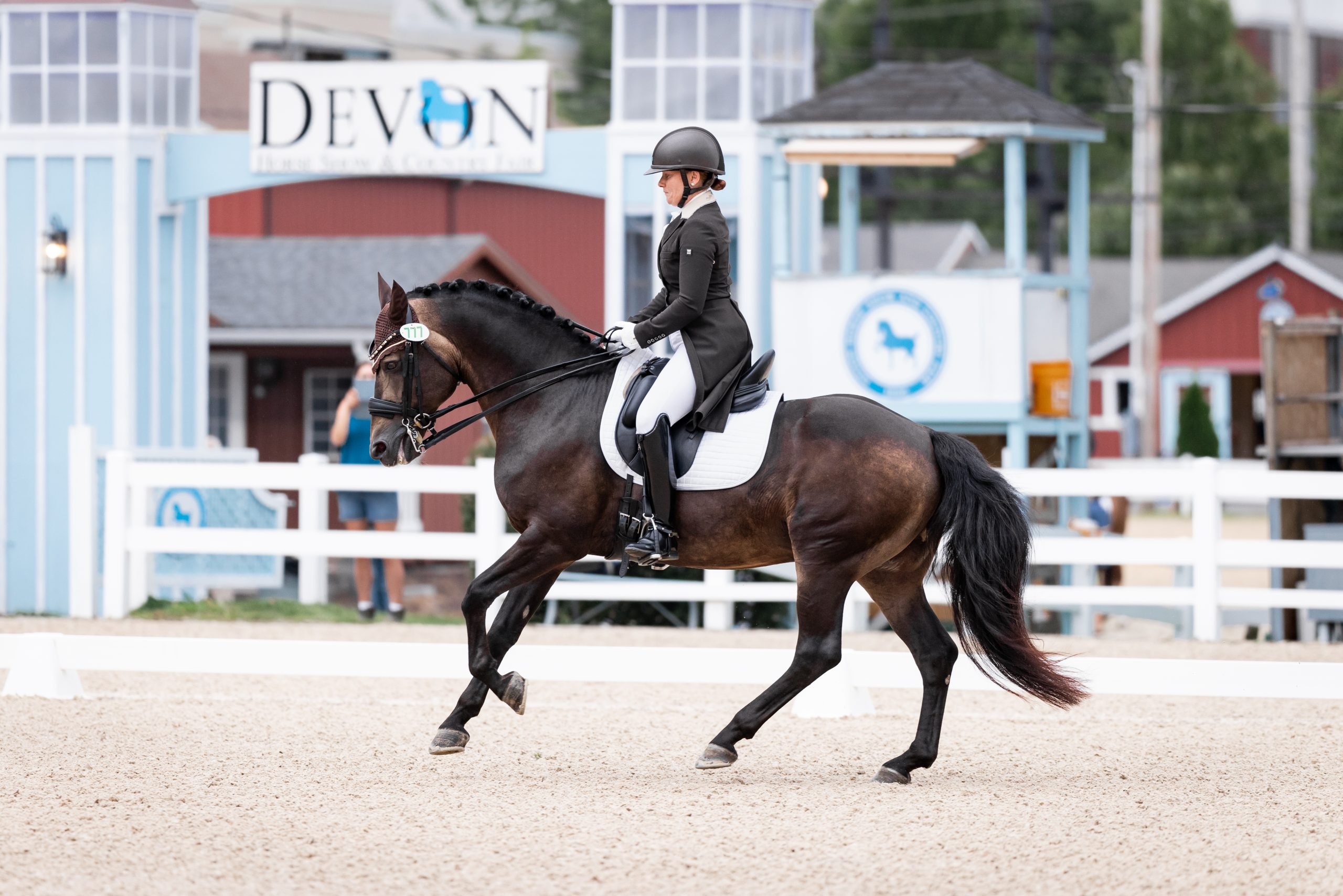 Exclusive Masterclass with Olympic Champion Ingrid Klimke at Dressage at Devon's 50th ...