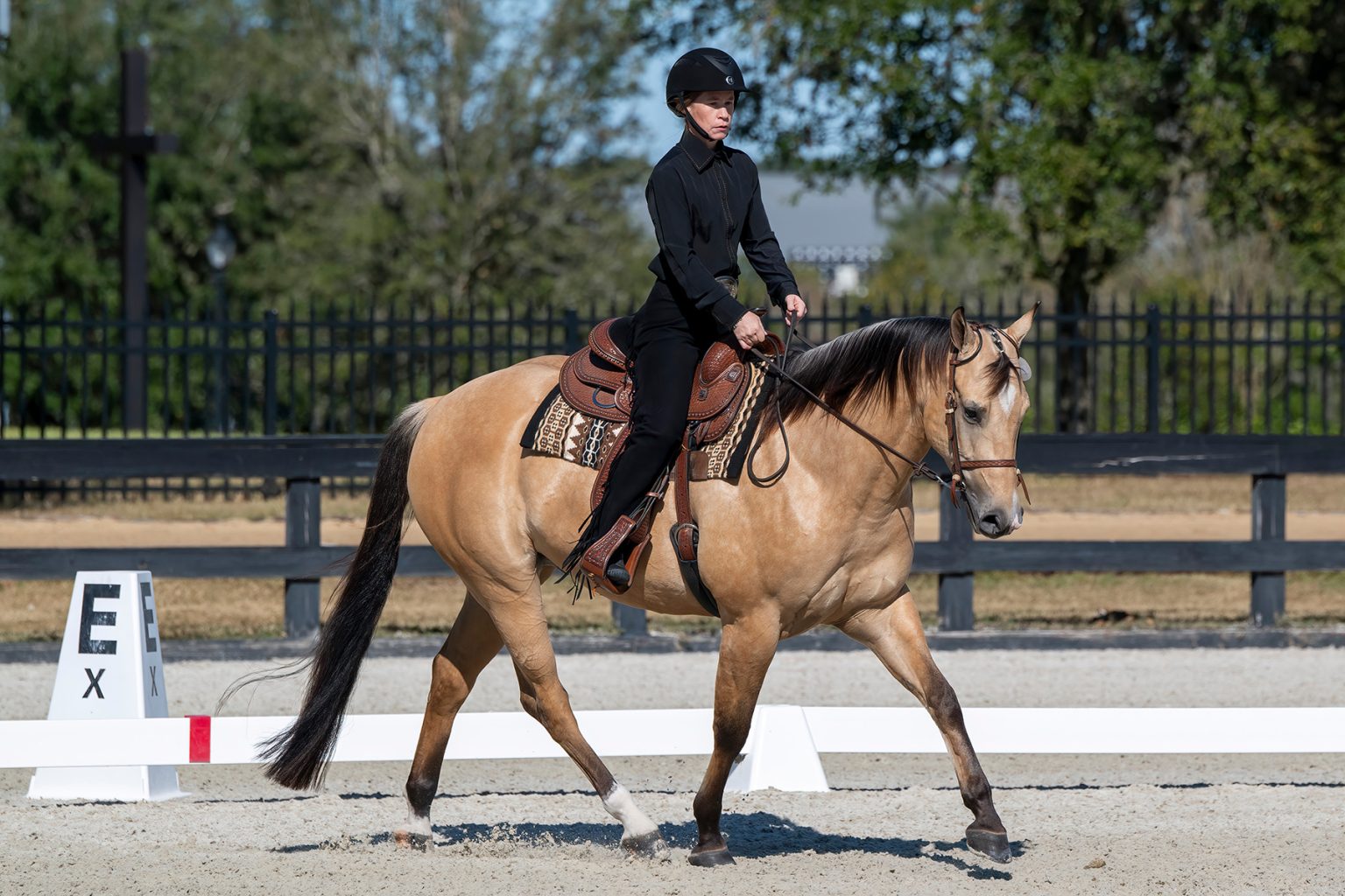 False Horsetails: To What Lengths? - The Plaid Horse Magazine