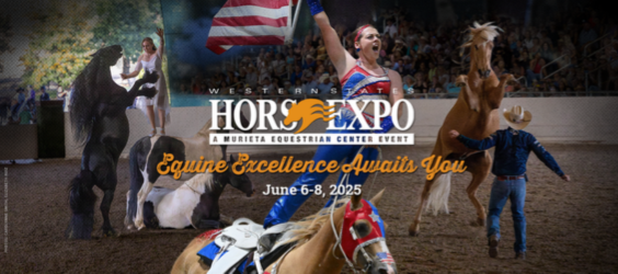 How to Qualify for Pony Finals: In the Hunters, Equitation, and Jumpers ...