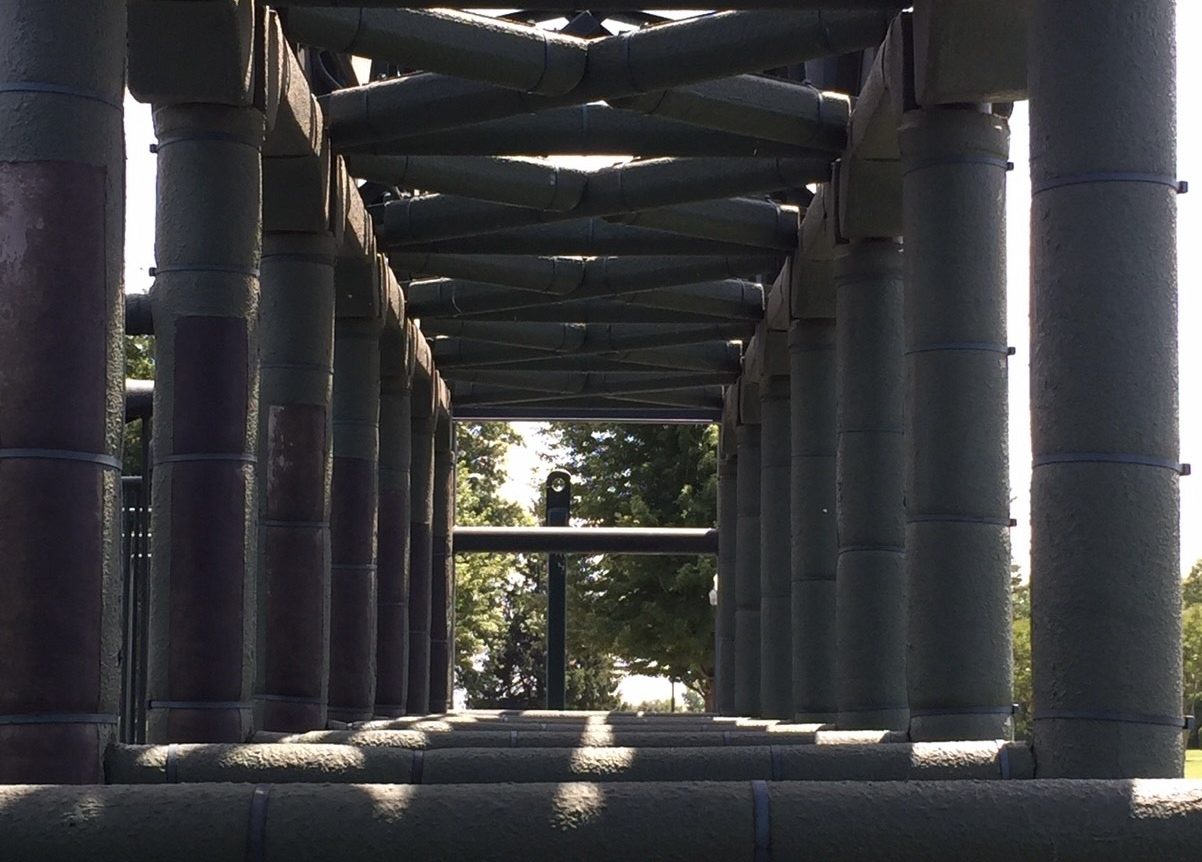 Not Like Us? Candid Thoughts on the Horse Racing Industry - The Plaid ...