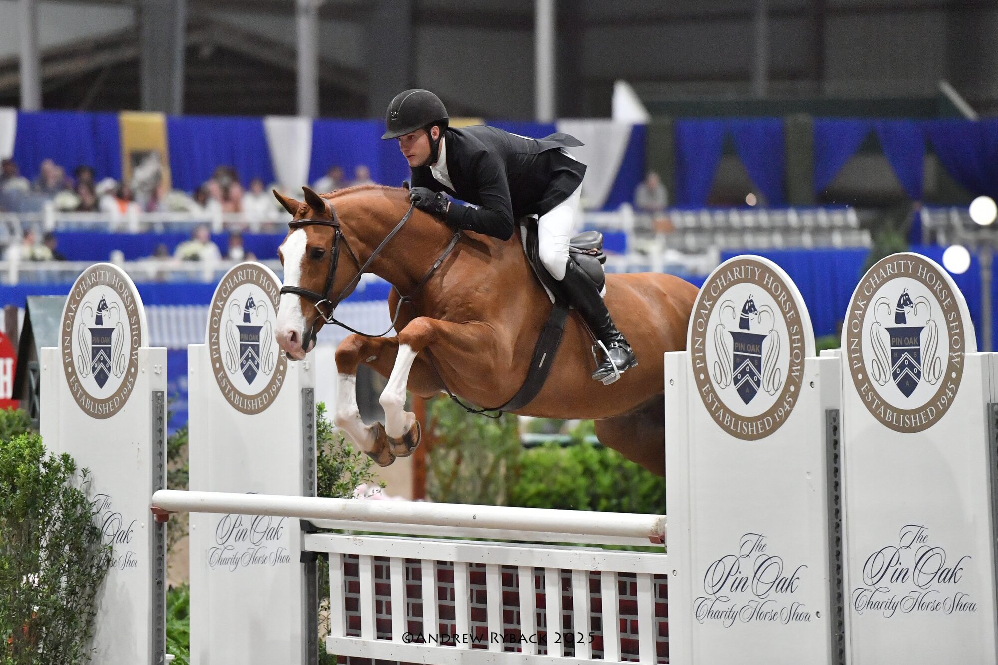 Hallpass and Jef Lauwers Land Second Consecutive Pin Oak $30,000 USHJA ...