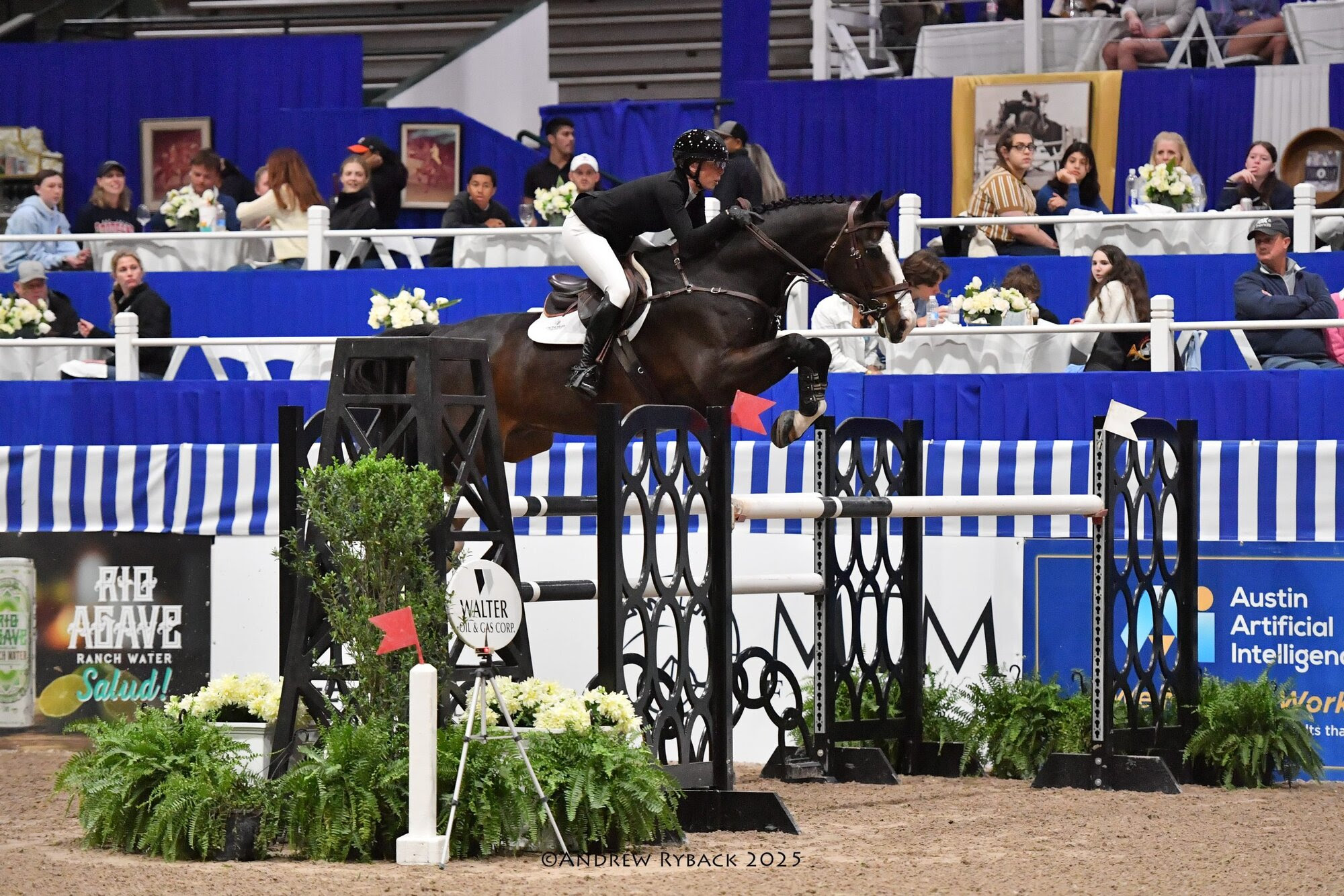 Connor 69 and Olivia Cliver Claim Victory in $50,000 Southern Way Farm ...