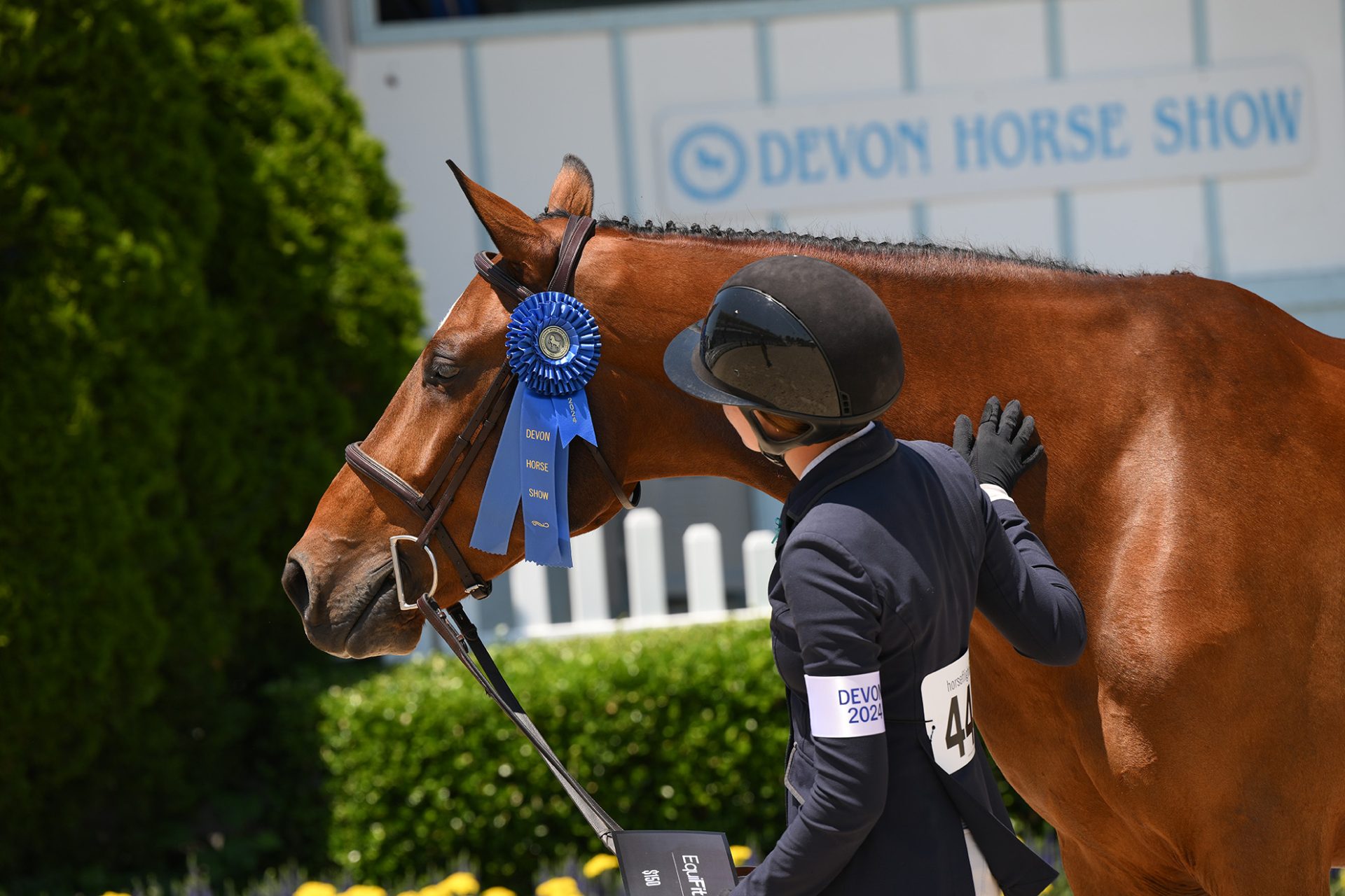 The Plaidchat: April and May/June Issues of The Plaid Horse Magazine ...