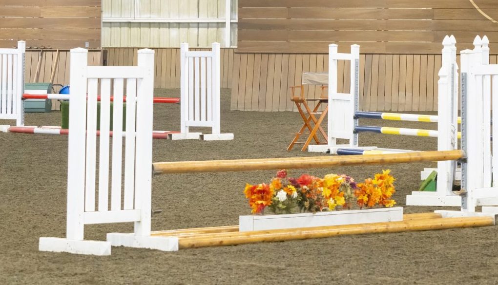 Trainer Tuesday: Do you teach students to find distances by counting ...