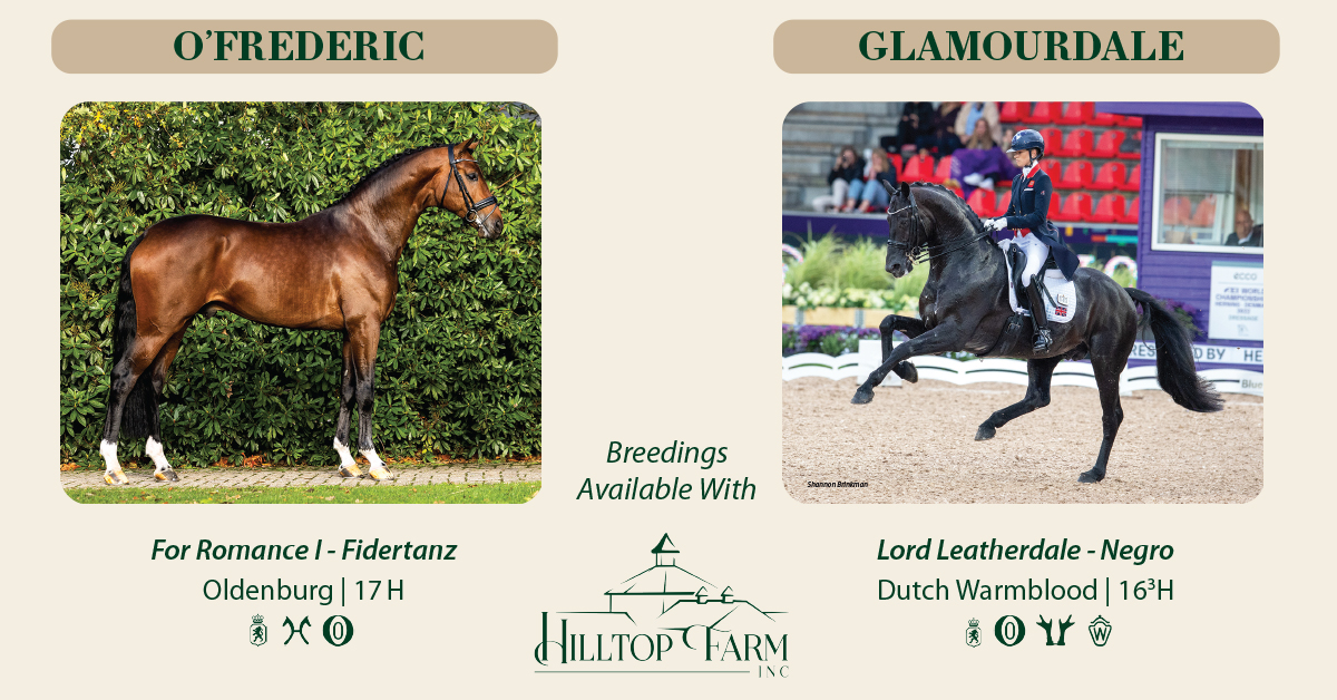 The Economics of Horse Racing - The Plaid Horse Magazine