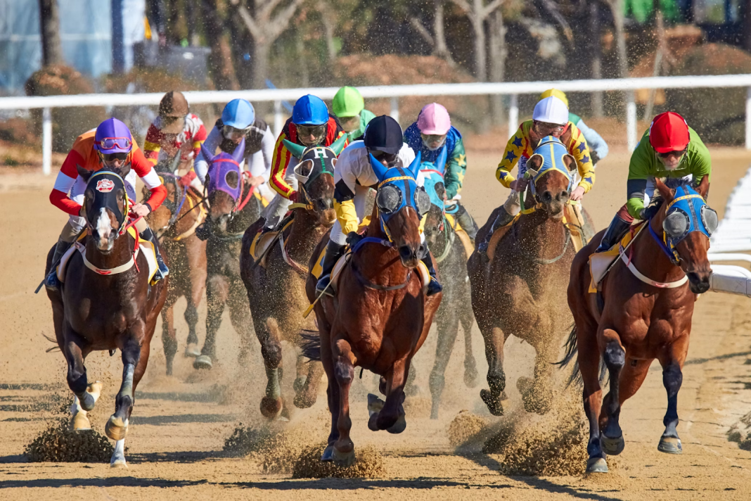 Watching the Prep Races: Key Insights into the 2025 Kentucky Derby ...