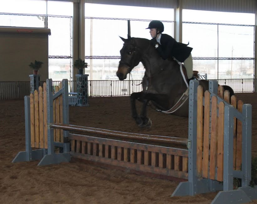 A Horse’s Story: What Will I Do Next? - The Plaid Horse Magazine