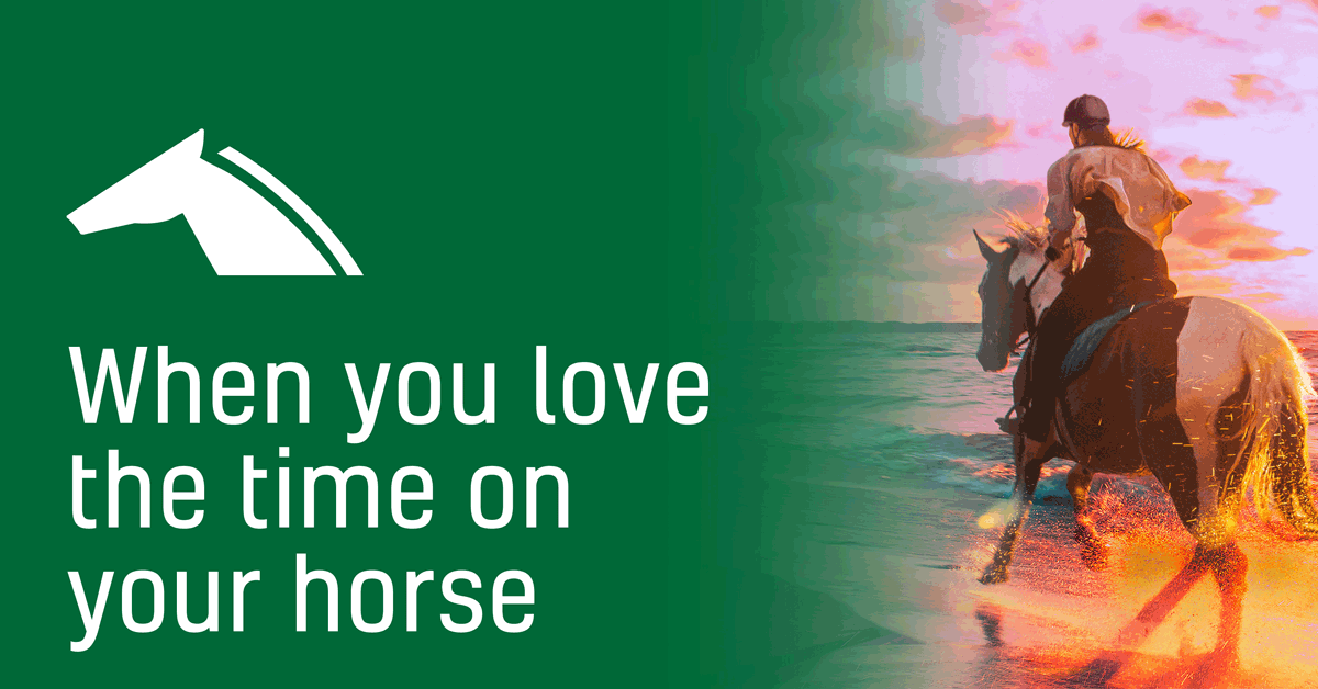 Highline Tack - The Plaid Horse Magazine