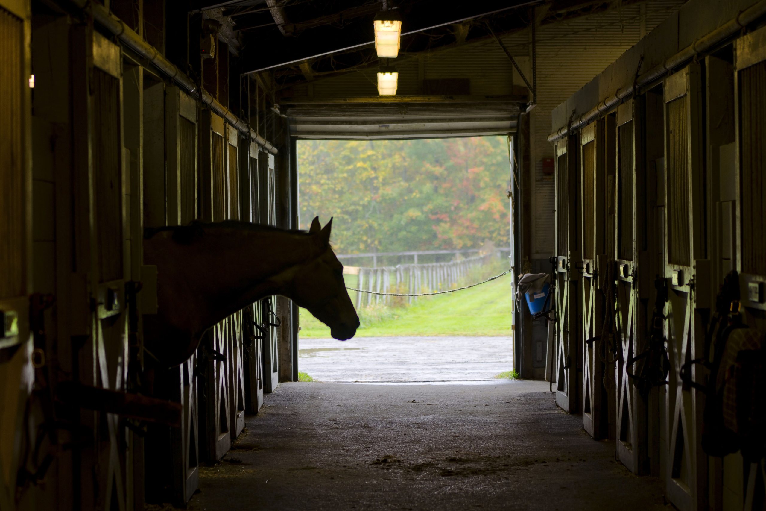 Trainer Tuesday: Who is a teacher and trainer that you respect and ...