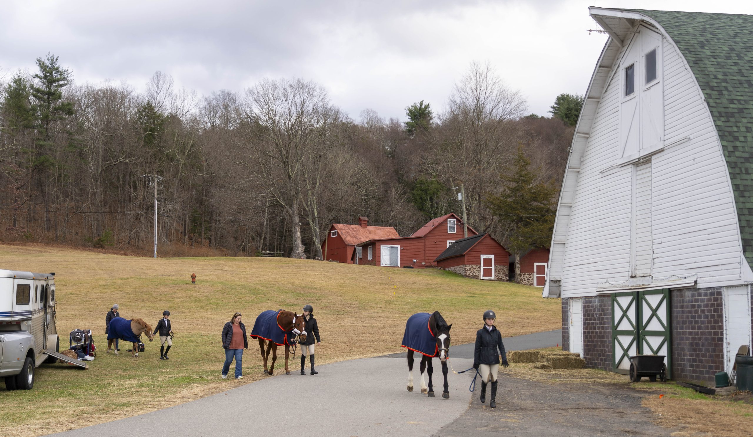 Training Every Brain in the Barn: Practical Tips for Working With ...