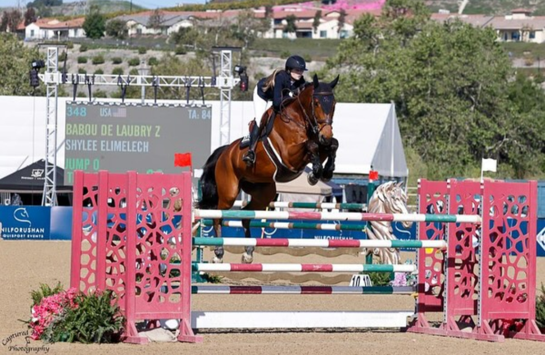 Shylee Elimelech Wins April’s Show Jumping Hall of Fame Rider of the ...