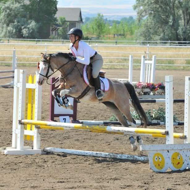 How One Free Pony Taught Me Grace and Grit - The Plaid Horse Magazine
