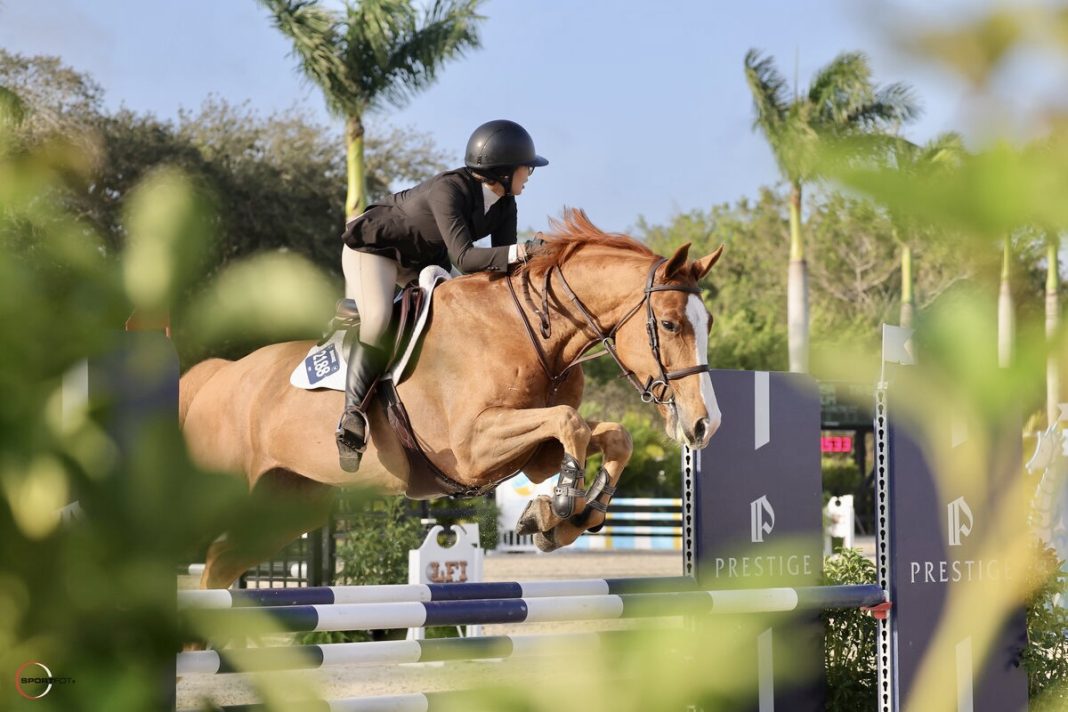Trainer Tuesday: What qualities make a horse a good jumper to you ...